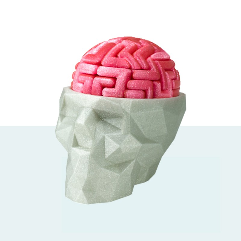 Comprar brain Puzzle - kubekings.pt